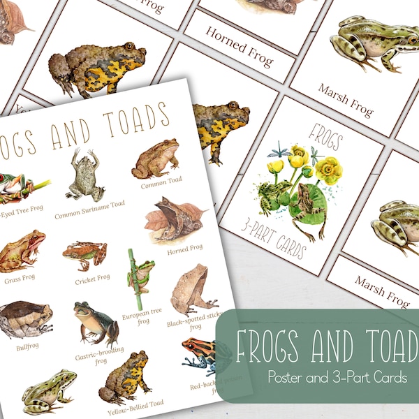 Frog Poster - Etsy Canada