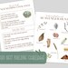 BIRD NESTS Unit Study, Nature Study, Science, Handwriting, Homeschool ...
