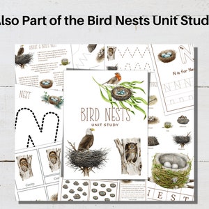 Bird NESTS Fact Cards, 3 Part Cards and Mini Poster, Nature, Digital ...
