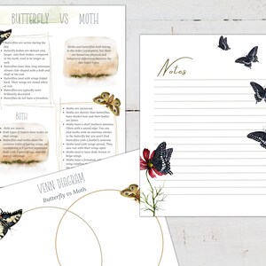 Swallowtail BUTTERFLY Unit Study, Life Cycle, Anatomy, Nature Study ...