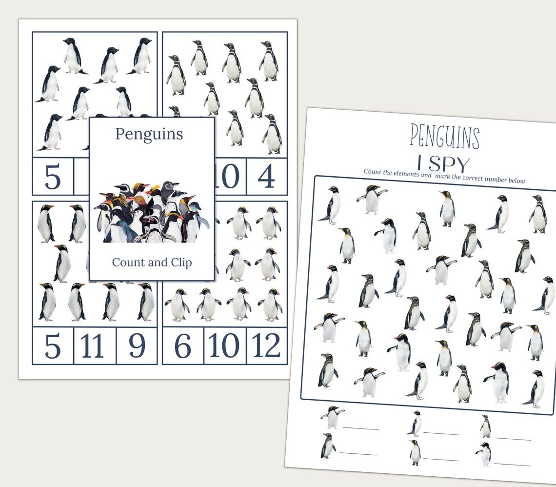 Penguins Unit Study: Life Cycle, Anatomy, Homeschool Printable (instant ...