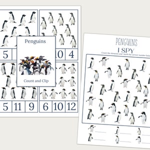 PENGUINS Unit Study, Life Cycle, Anatomy, Nature Study, Science ...