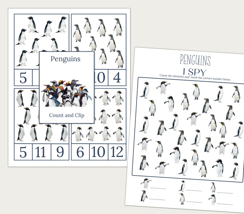 PENGUINS Unit Study Life Cycle Anatomy Nature Study - Etsy