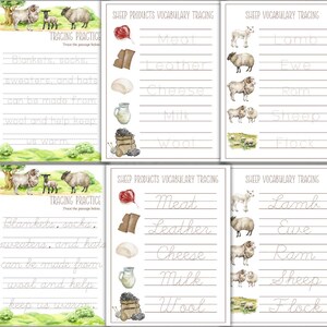 Sheep Unit Study: Life Cycle, Anatomy, Farm Activities (homeschool ...