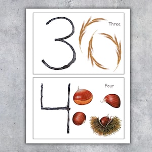 AUTUMN/FALL NATURE Counting Flashcards, 1 to 10 Counting, Toddler ...