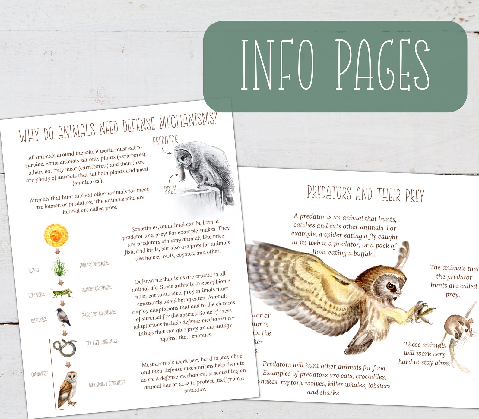 ANIMAL DEFENSES Unit Study, Anatomy, Nature Study, Science, Handwriting ...