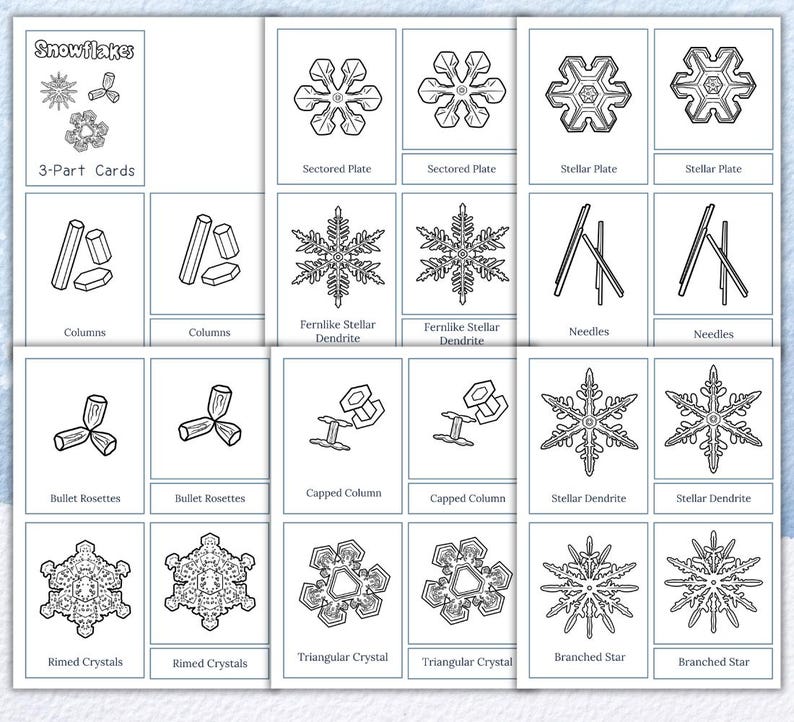 SNOWFLAKE Types and Cycle, Posters and 3-part Cards, Science ...