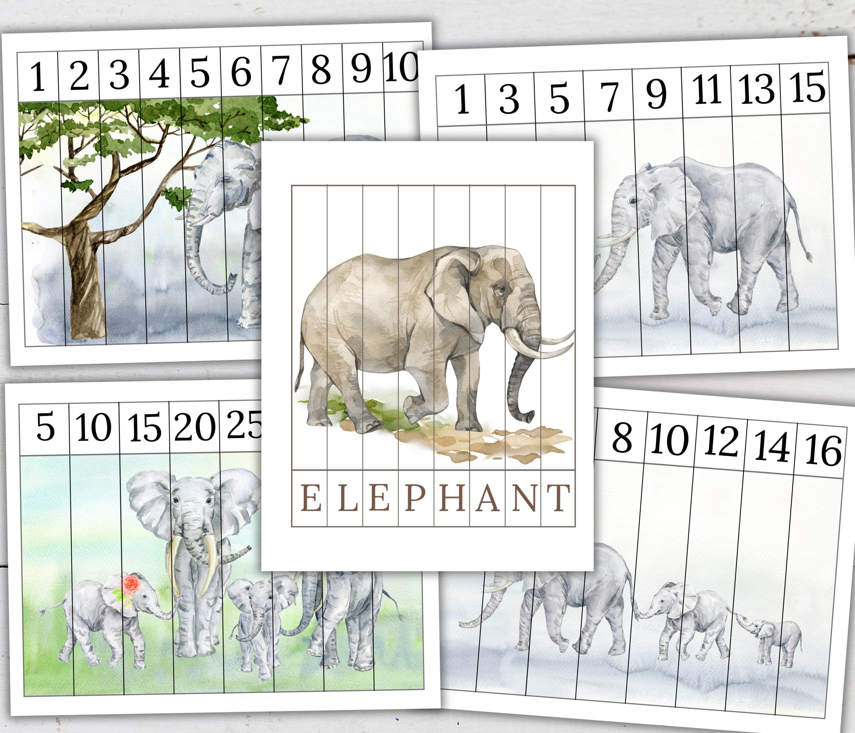 ELEPHANT Unit Study, Nature Study, Science, Handwriting, Homeschool ...