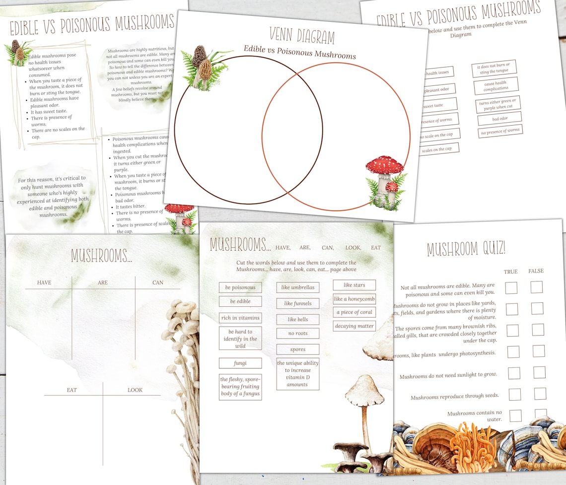 Mushroom Unit Study: Life Cycle, Anatomy, Homeschool Printable (instant ...