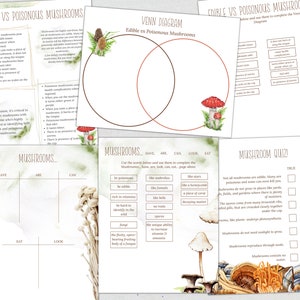 MUSHROOM Unit Study, Life Cycle, Anatomy, Nature Study, Science ...