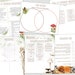 MUSHROOM Unit Study, Life Cycle, Anatomy, Nature Study, Science ...