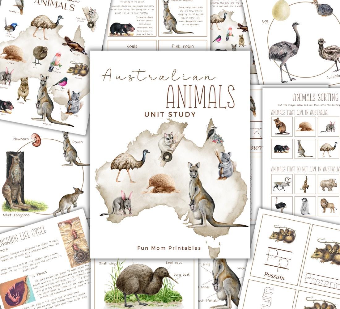 World Animals Unit Study Bundle: Australian, African, Antarctic ...