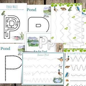POND Unit Study Animals and Plants Unit Life Cycle Anatomy - Etsy