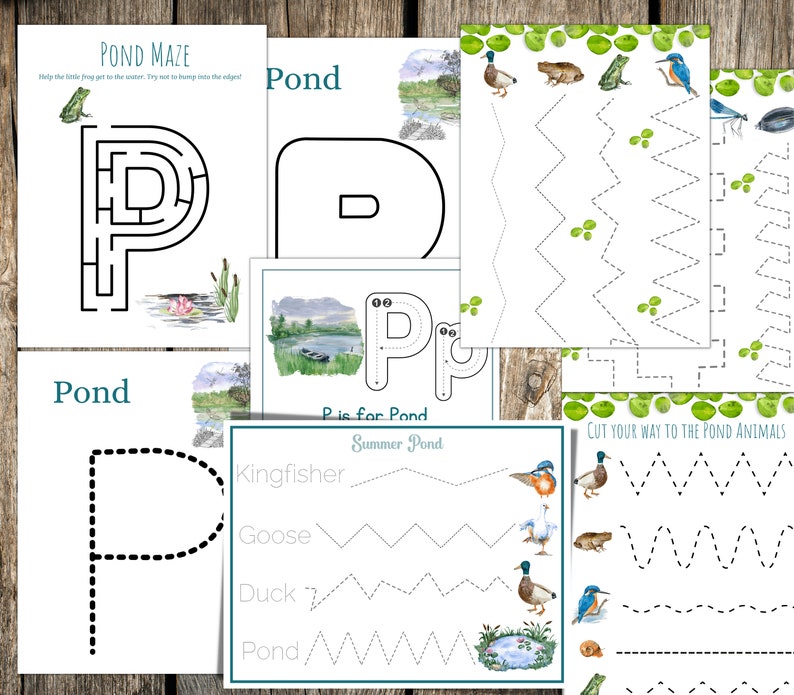 POND Unit Study Animals and Plants Unit Life Cycle Anatomy - Etsy