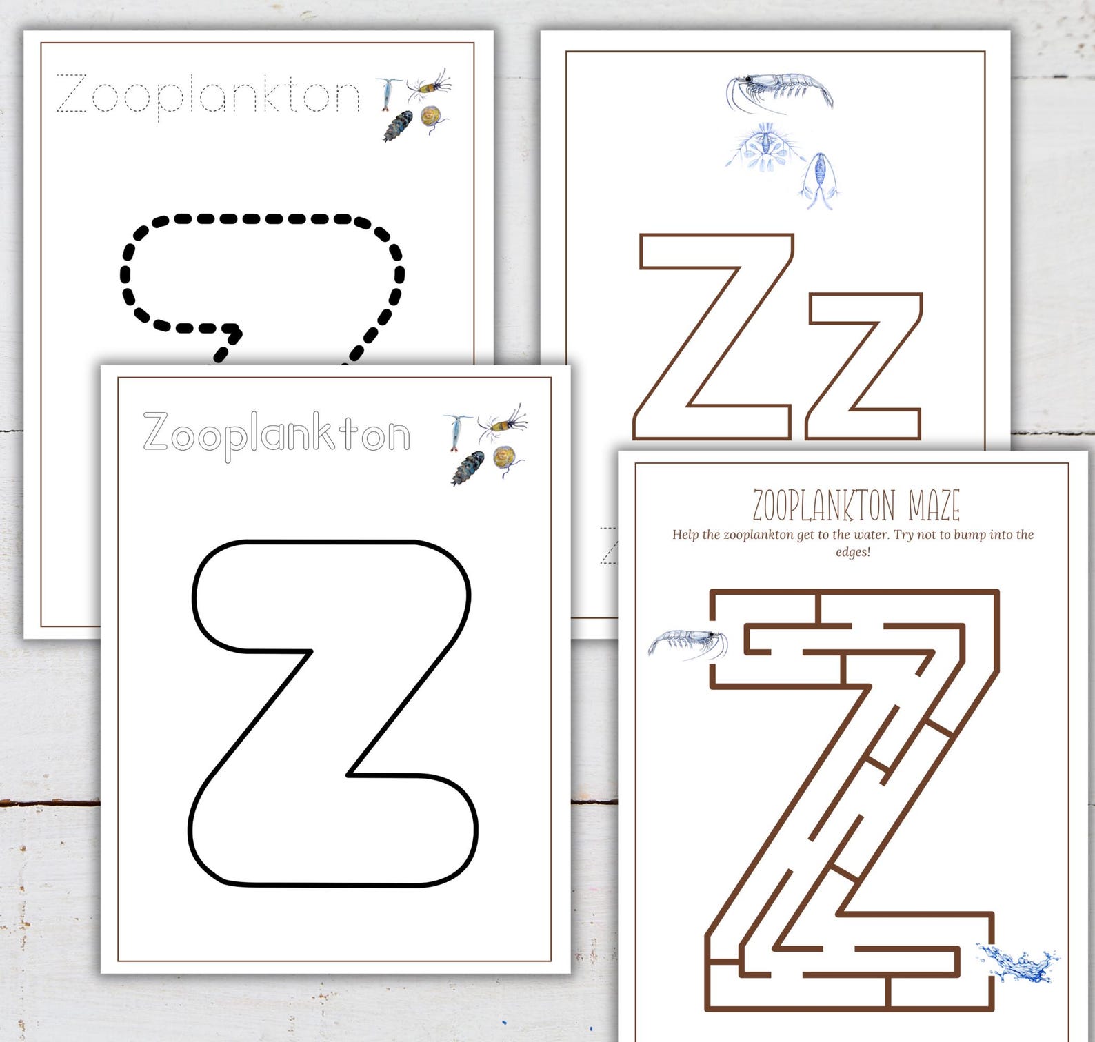 Letter Z is for Zooplankton: Alphabet Learning Activities (digital ...