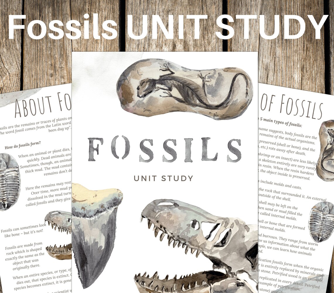 FOSSILS Unit Study Anatomy Nature Study Science - Etsy