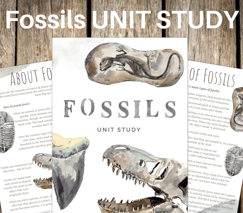 FOSSILS Unit Study Anatomy Nature Study Science - Etsy