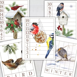 WINTER BIRDS Unit Study, Nature Study, Science, Handwriting, Homeschool ...