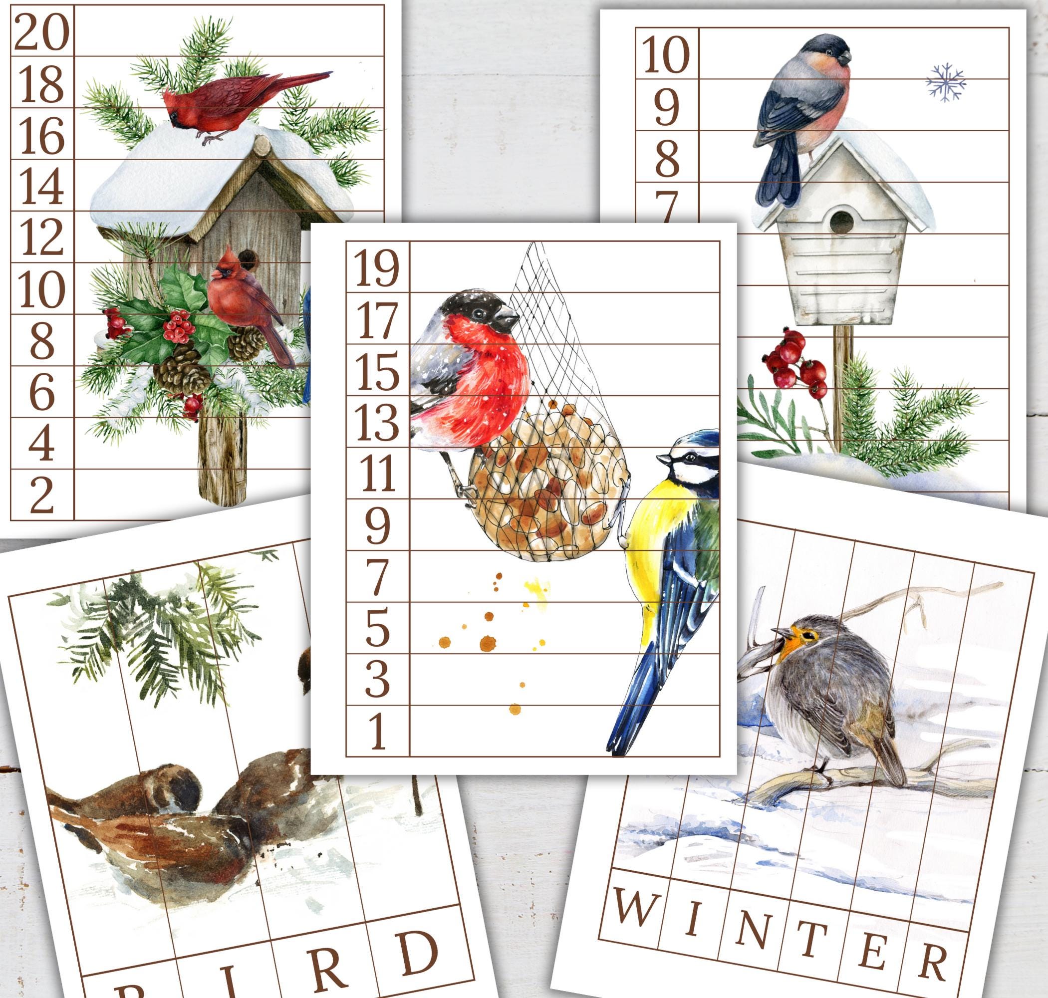 WINTER BIRDS Unit Study, Nature Study, Science, Handwriting, Homeschool ...