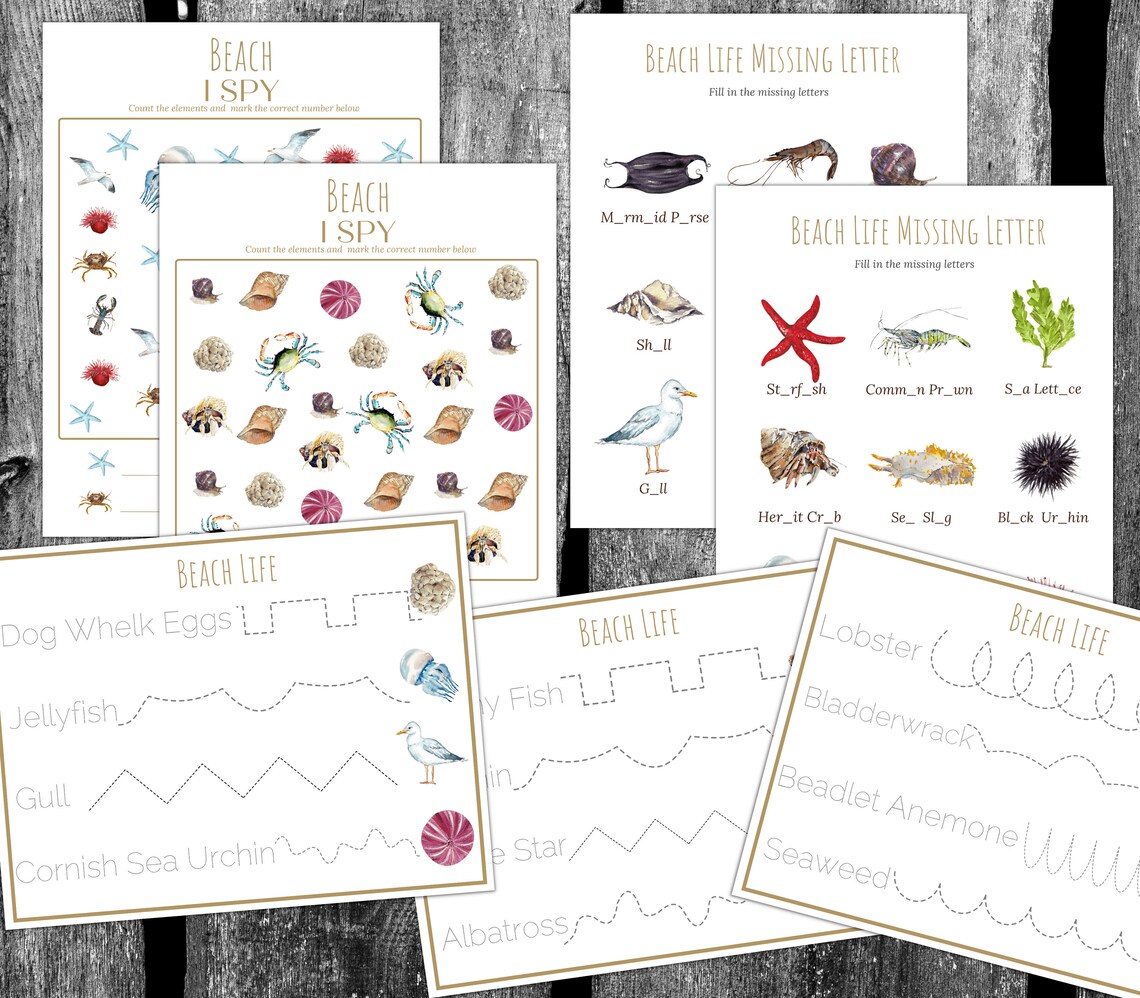 BEACH Unit Study Anatomy Nature Study Science Handwriting - Etsy