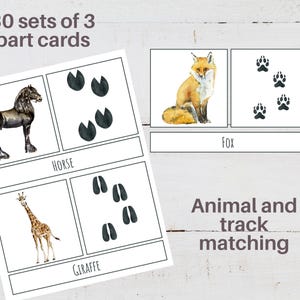 Animal Tracks Poster Set: Nature Study Cards & Puzzles (digital ...