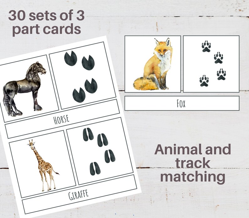 Animal Tracks Poster Set: Nature Study Cards & Puzzles (digital ...