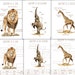 African SAVANNA Unit Study, Life Cycle, Anatomy, Nature Study, Science ...