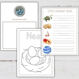 LETTER of the WEEK, N is for Nest, Letter N Activities, Alphabet ...