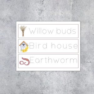 Spring Preschool Printable Word Tracing Strips. Kindergarten ...