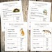 ANIMAL HOMES Unit Study, Nature Study, Science, Handwriting, Homeschool ...