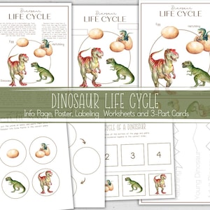 DINOSAURS Unit Study, Life Cycle, Anatomy, Nature Study, Science ...