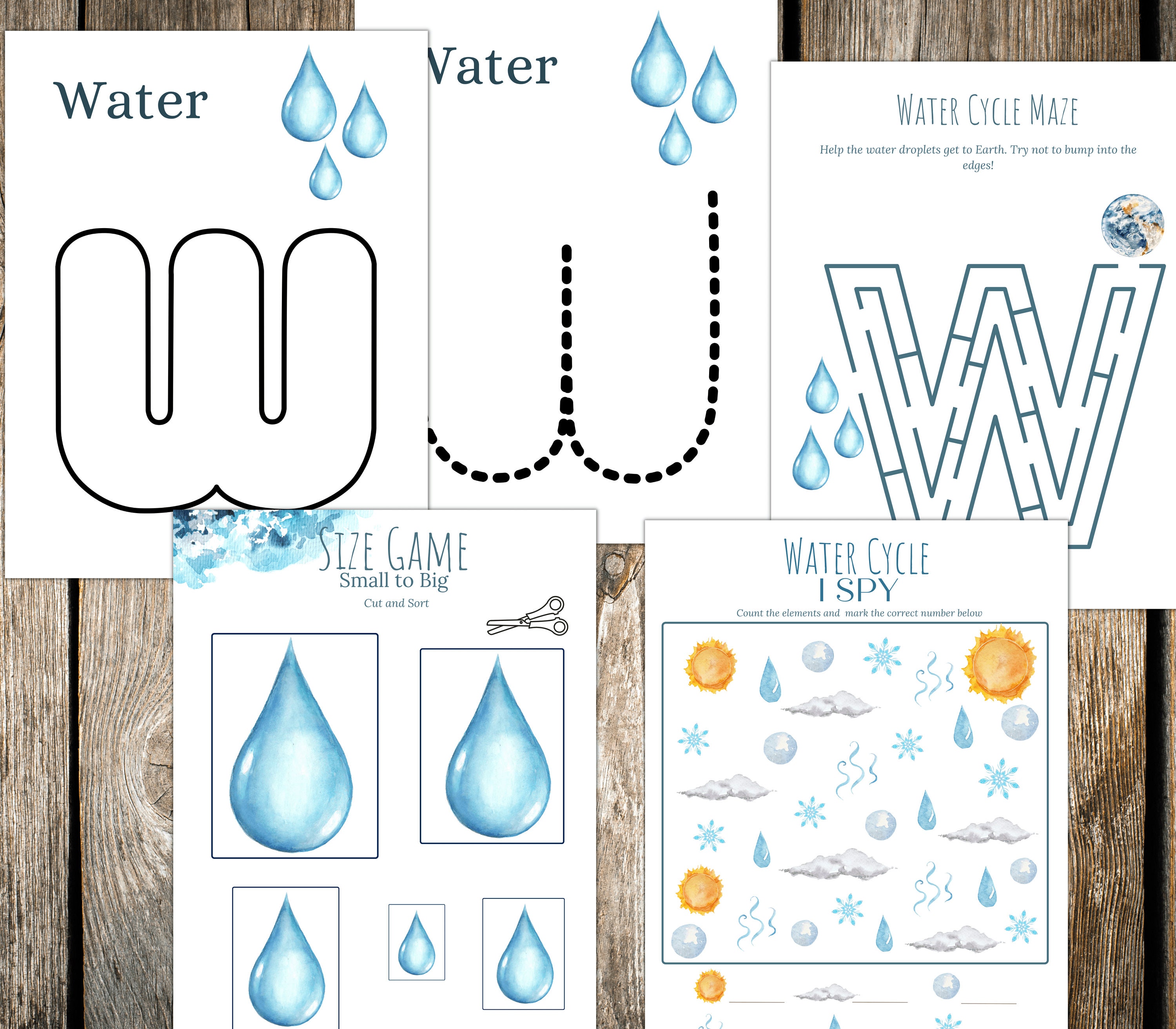 WATER CYCLE Unit Study Process Nature Study Science - Etsy