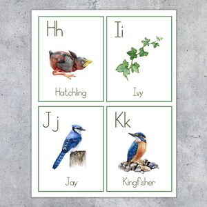 FOREST NATURE Alphabet Flashcards. Watercolor Letter Cards. Kids ...