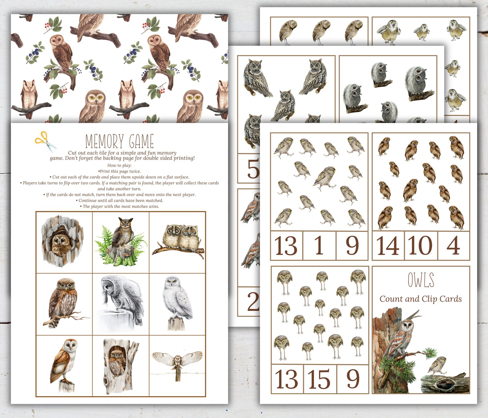 Owls Unit Study: Life Cycle, Anatomy, Homeschool Printable (INSTANT ...