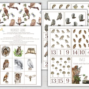 Owls Unit Study: Life Cycle, Anatomy, Homeschool Printable (INSTANT ...