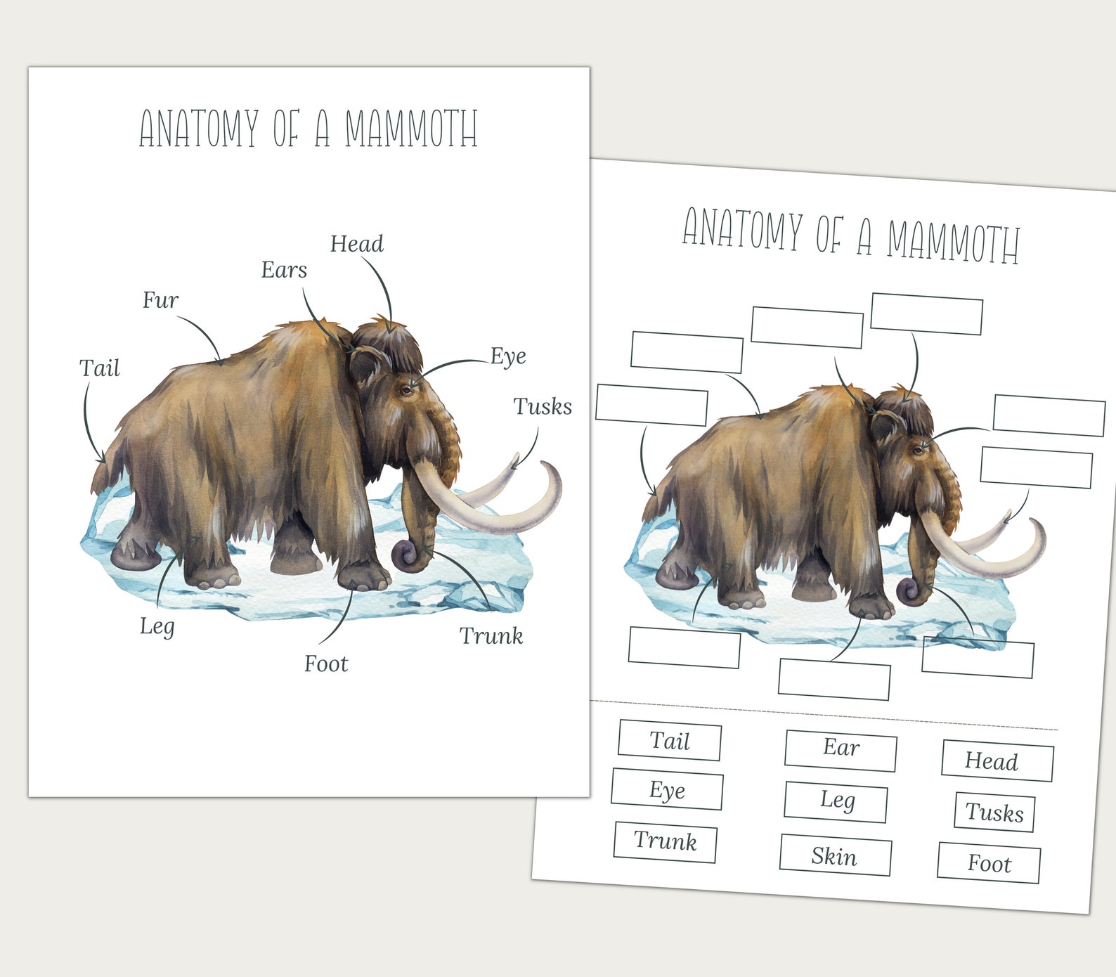 ICE AGE Unit Study, Nature Study, Science, Handwriting, Homeschool ...