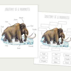 ICE AGE Unit Study, Nature Study, Science, Handwriting, Homeschool ...