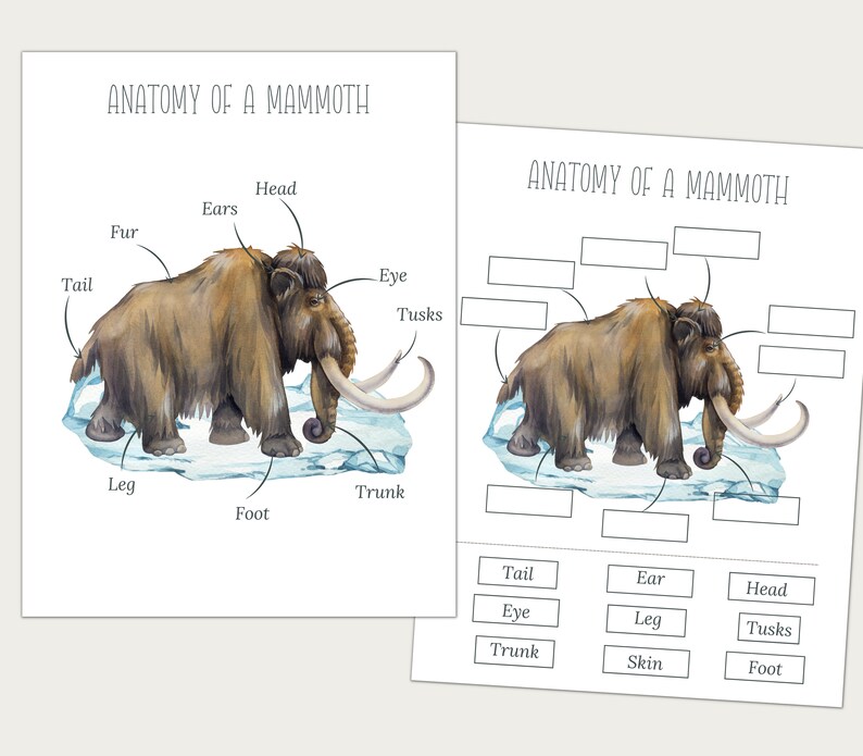 ICE AGE Unit Study, Nature Study, Science, Handwriting, Homeschool ...