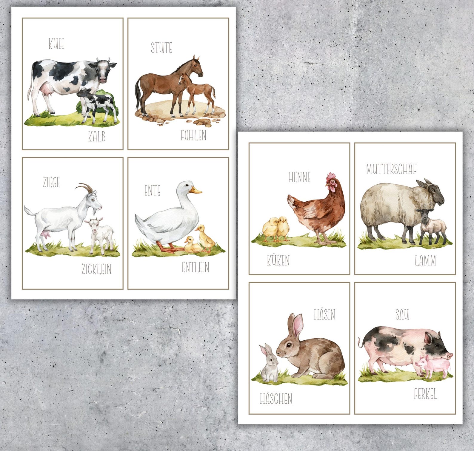German Farm Animal Flashcards: Moms and Babies Matching Activity ...