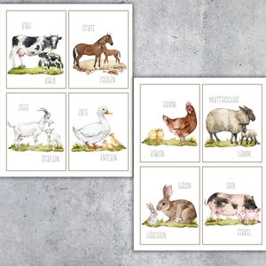 German Farm Animal Flashcards: Moms and Babies Matching Activity ...
