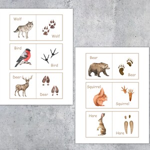WOODLAND ANIMALS Tracks, Flashcards and Matching Activities, Instant ...