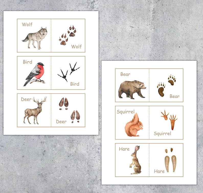 WOODLAND ANIMALS Tracks, Flashcards and Matching Activities, Instant ...