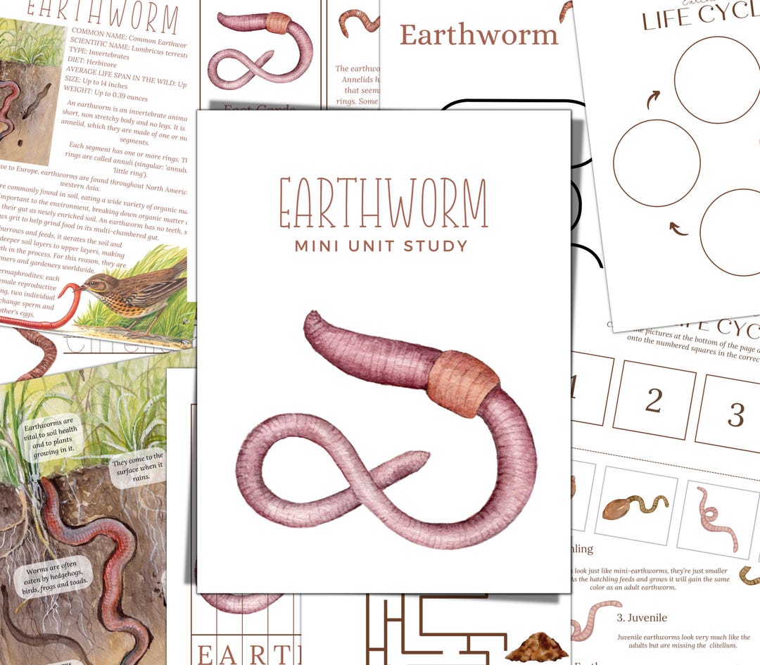 EARTHWORM Study Unit, Life Cycle, Anatomy, Nature Study, Science ...