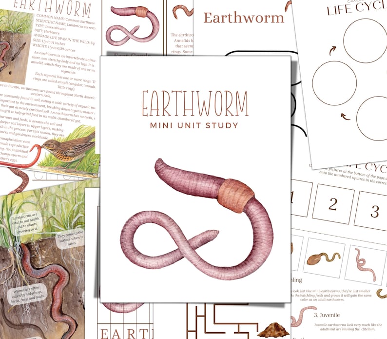 EARTHWORM Study Unit, Life Cycle, Anatomy, Nature Study, Science ...