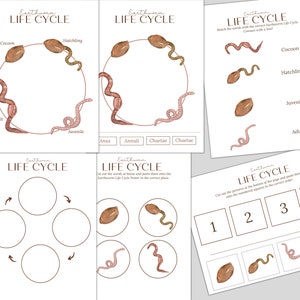 EARTHWORM Study Unit, Life Cycle, Anatomy, Nature Study, Science ...