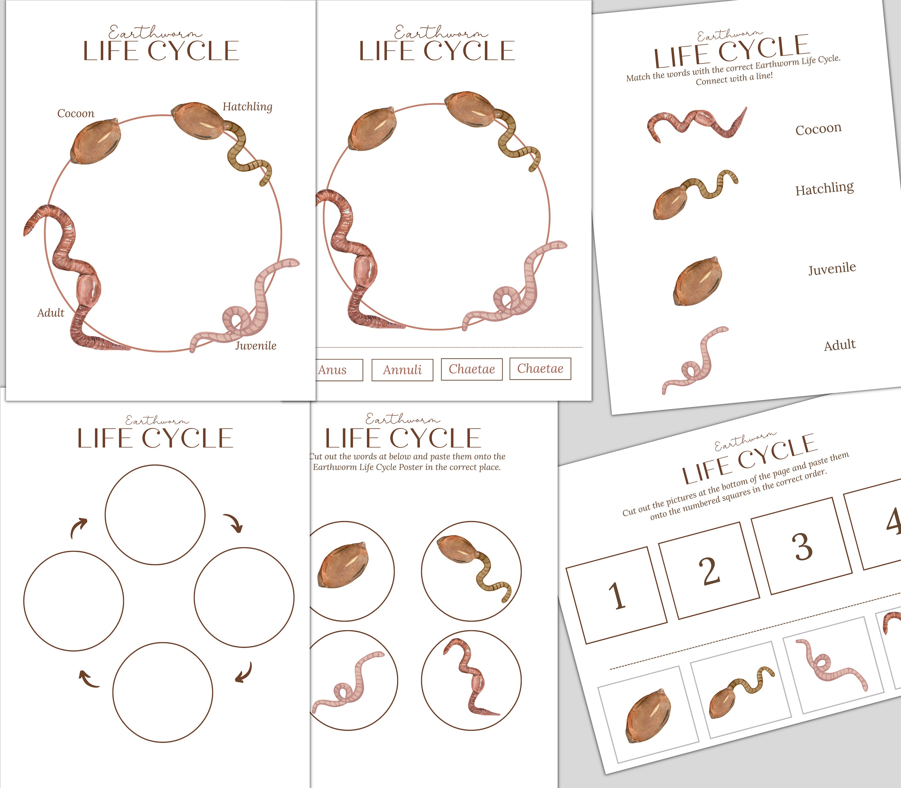EARTHWORM Study Unit Life Cycle Anatomy Nature Study - Etsy Canada