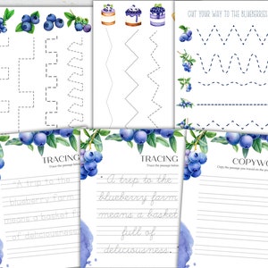 BLUEBERRY Unit Study, Life Cycle, Anatomy, Nature Study, Science ...