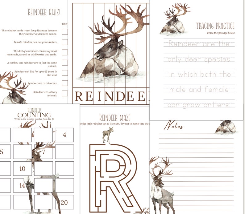 Reindeer Unit Study: Homeschool Science, Anatomy, Life Cycle (instant ...