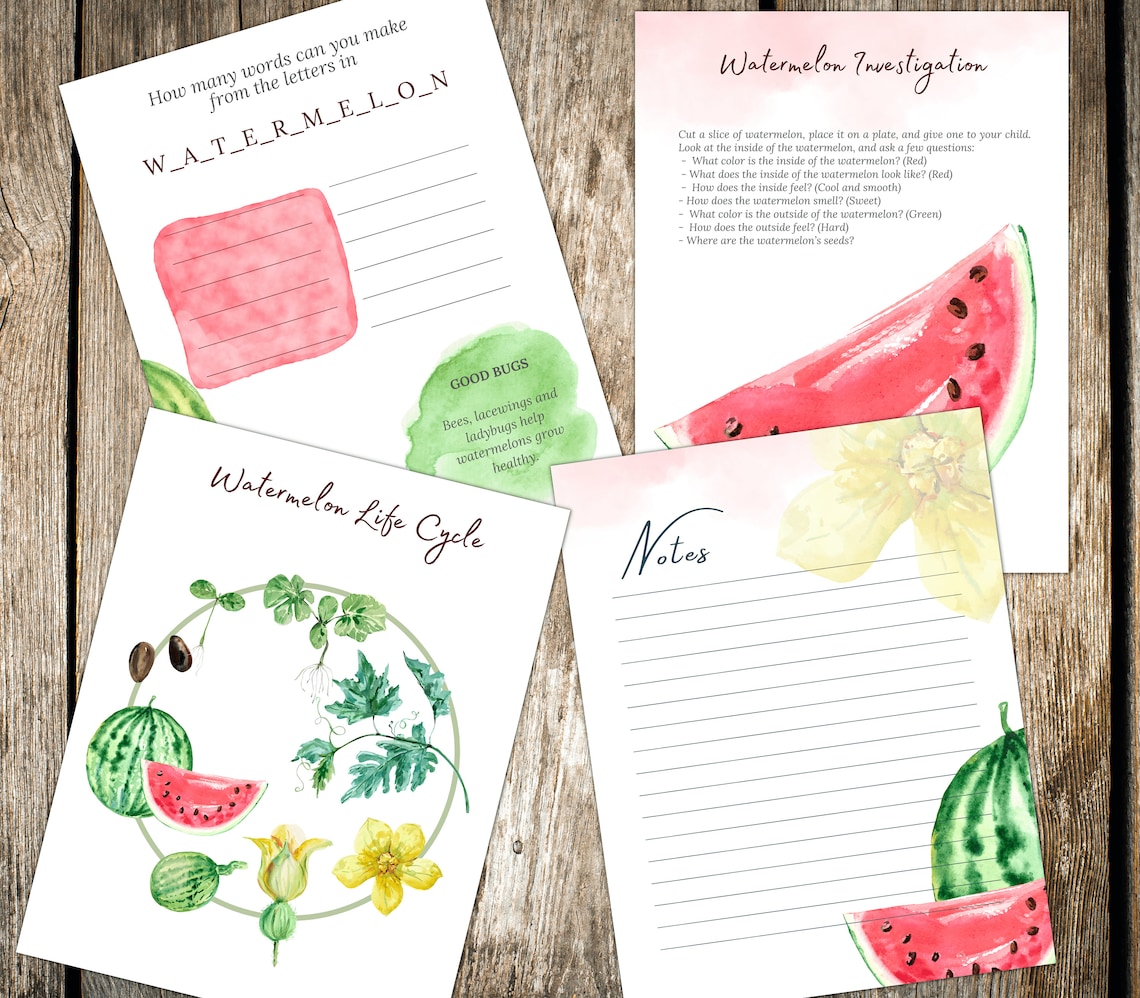 WATERMELON Unit Study Life Cycle Anatomy Nature Study - Etsy
