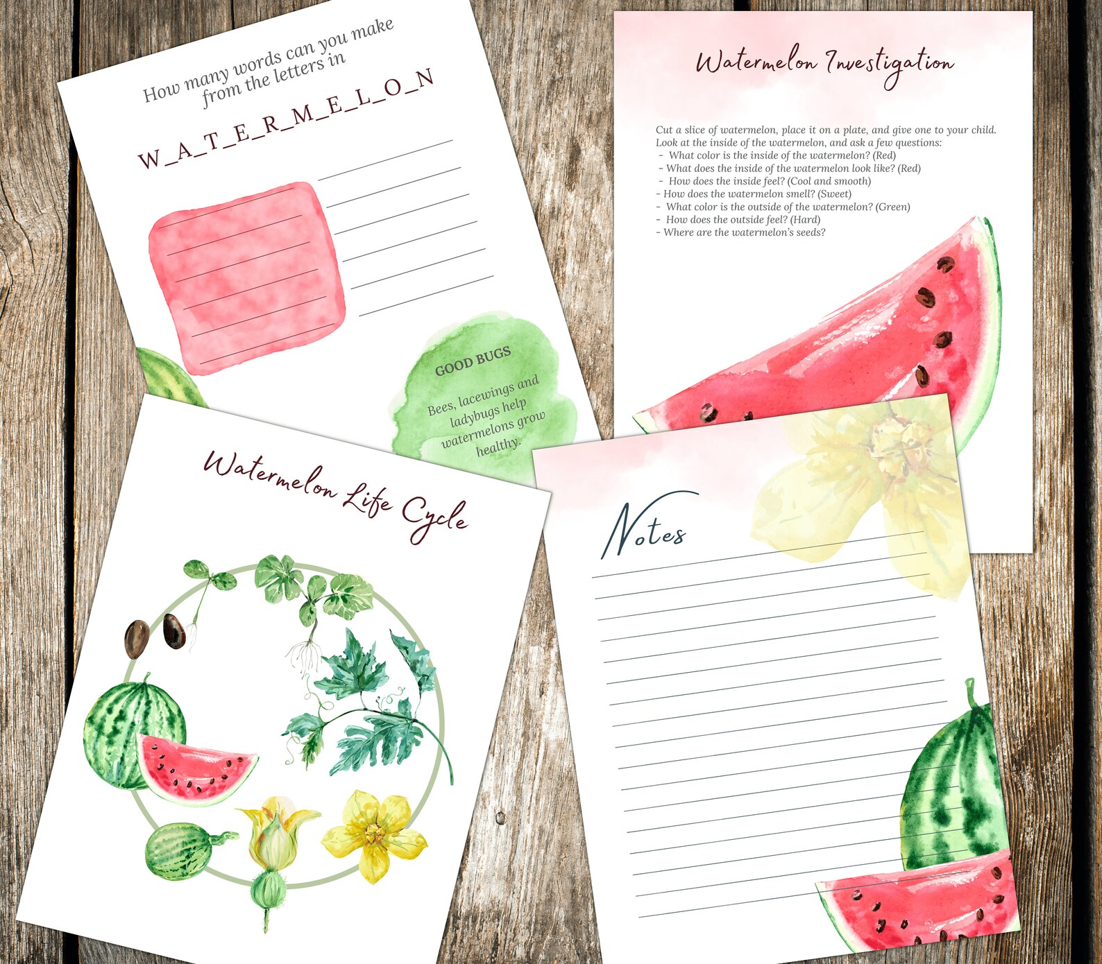 WATERMELON Unit Study Life Cycle Anatomy Nature Study - Etsy
